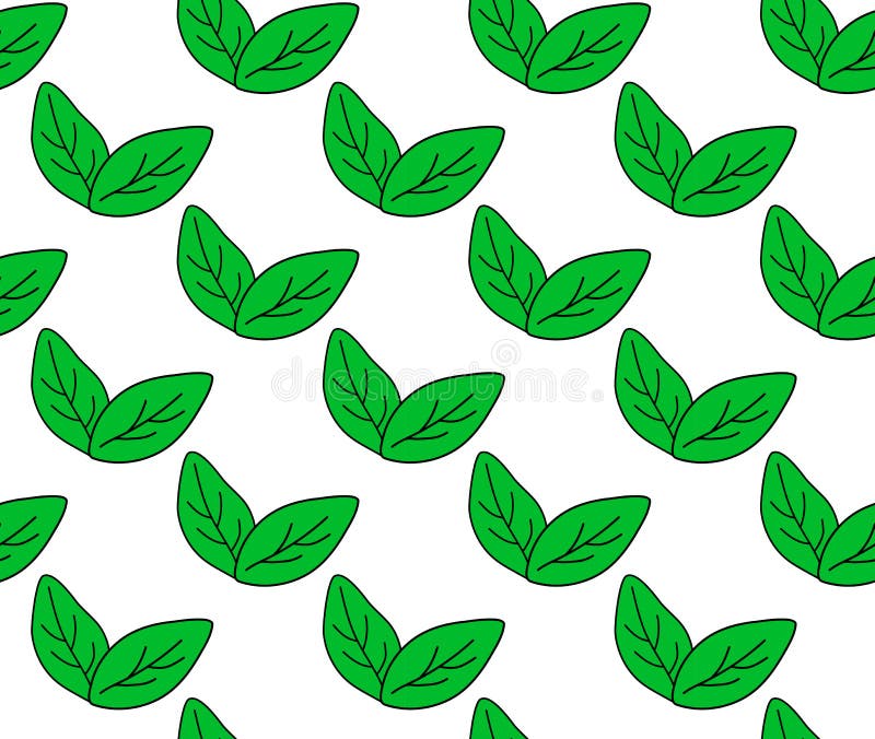 Mint Leaf Seamless Pattern. Doodle Peppermint Leaves Stock Vector - Illustration of floral ...