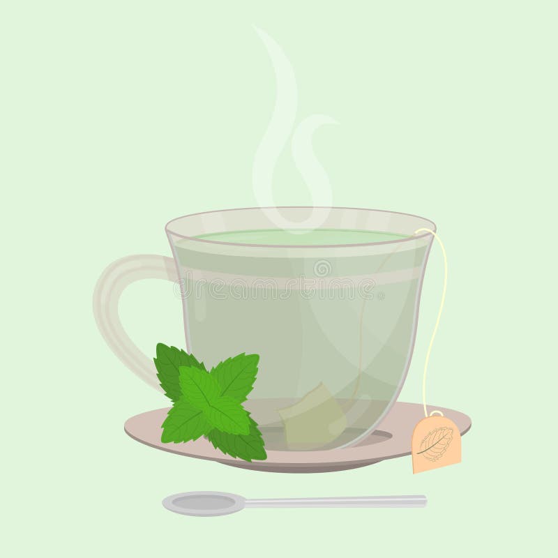 Mint leaf tea stock vector. Illustration of comfort - 149030311