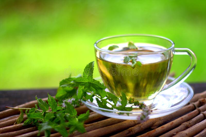 Mint leaf tea stock photo. Image of freshness, aromatic - 93712780