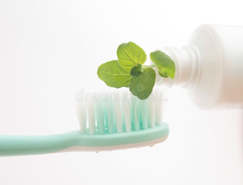 Mint Leaf on Toothbrush with Toothpaste Stock Photo - Image of leaf ...