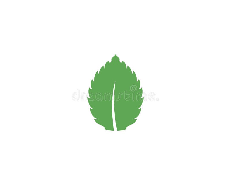 Mint Leaf Vector Icon Illustration Stock Vector - Illustration of sign ...