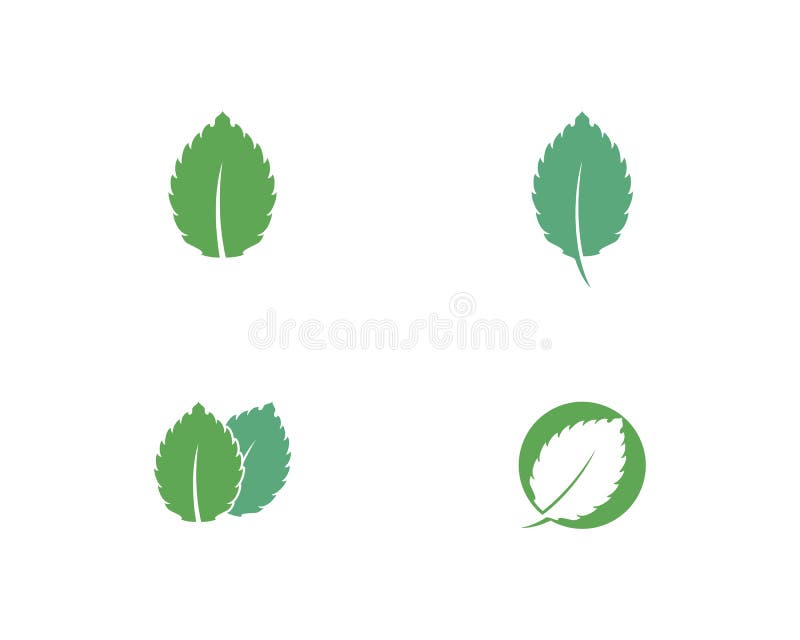 Mint Leaf Abstract Stock Illustrations – 9,104 Mint Leaf Abstract Stock ...