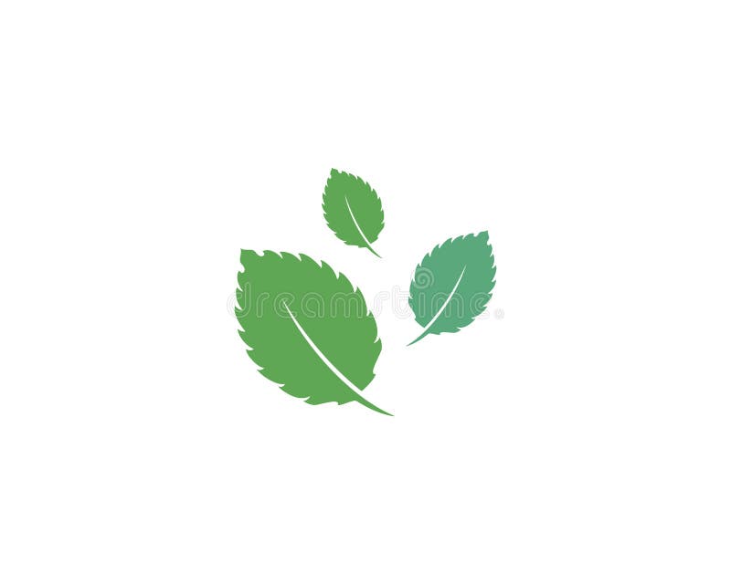 Mint Leaf Vector Icon Illustration Stock Vector - Illustration of leaf ...