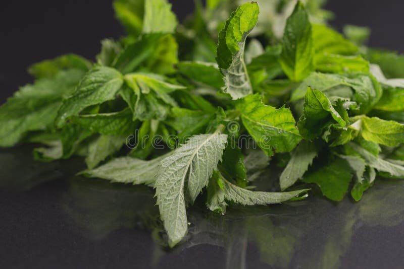 Mint Leaves on Black Background. Peppermint Lying on Table Stock Image ...
