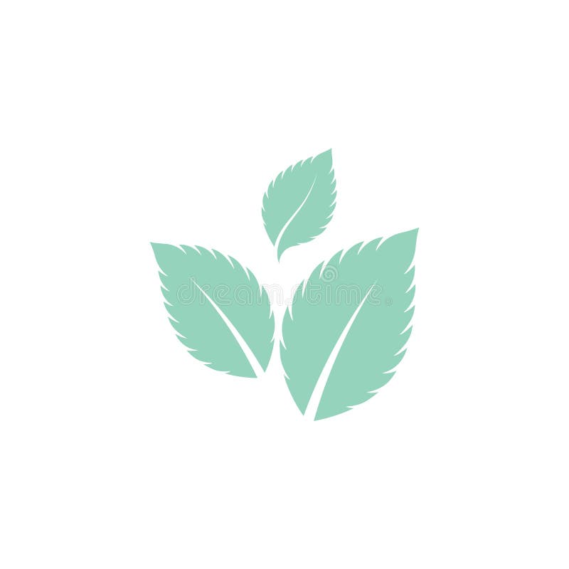 Mint Leaves Flat Vector Icon Stock Vector - Illustration of spearmint ...