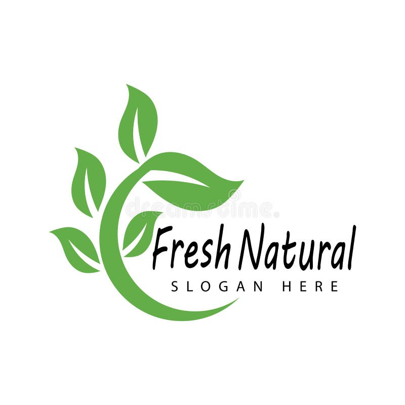 Mint Leaves Flat Vector Color Icon Template Illustration Design Stock ...