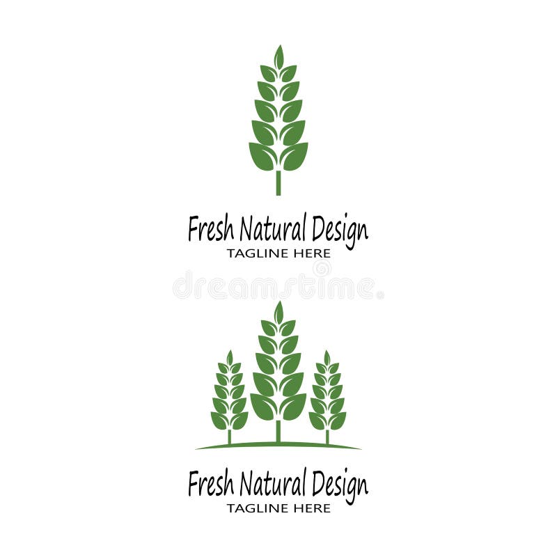 Mint Leaves Flat Vector Color Icon Template Illustration Design Stock ...