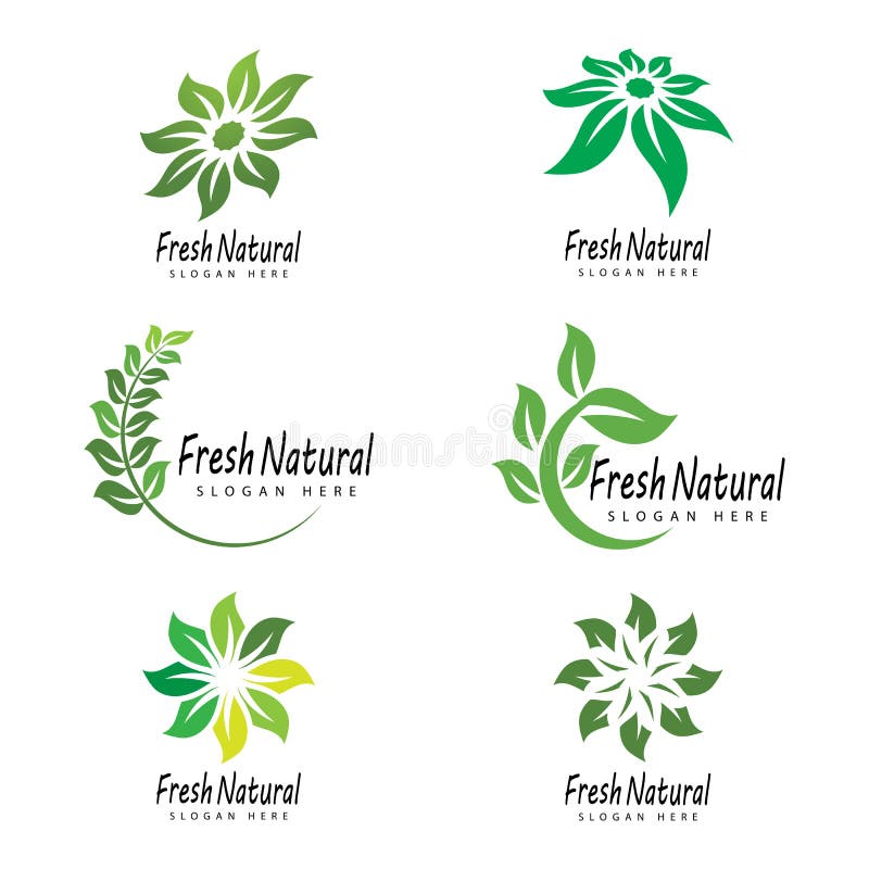 Mint Leaves Flat Vector Color Icon Template Illustration Design Stock ...