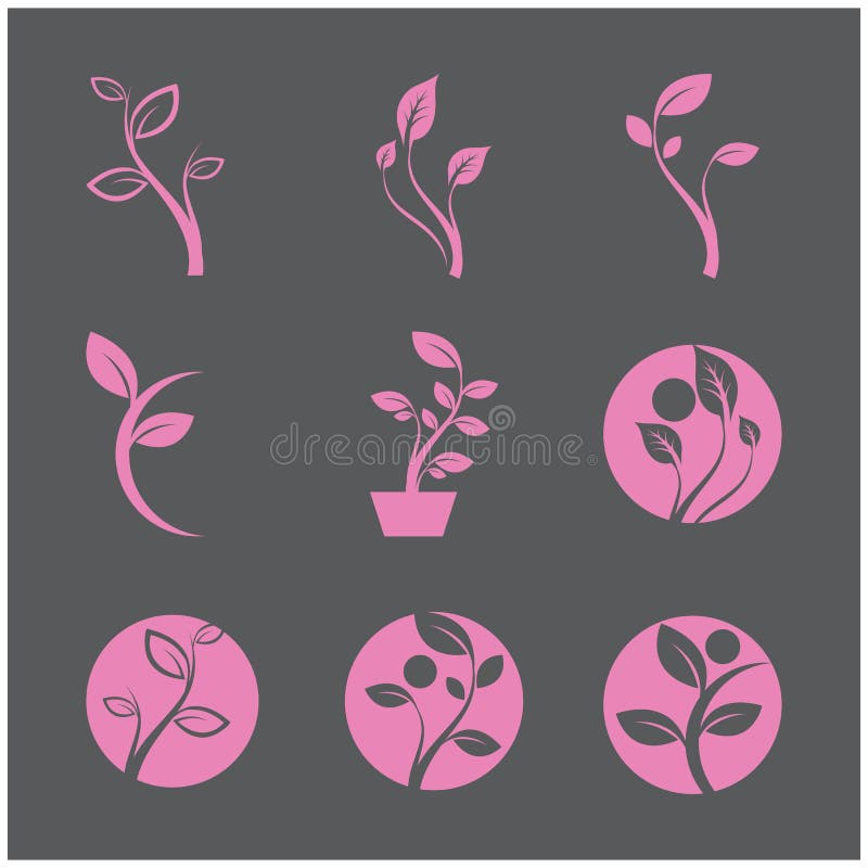 Mint Leaves Flat Vector Color Icon Template Illustration Design Stock ...
