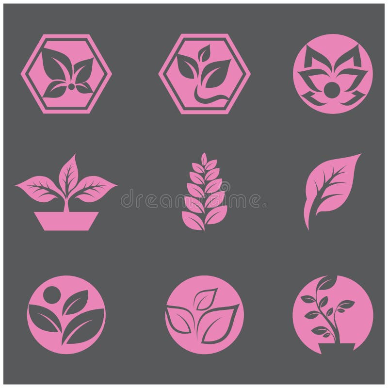 Mint Leaves Flat Vector Color Icon Template Illustration Design Stock ...