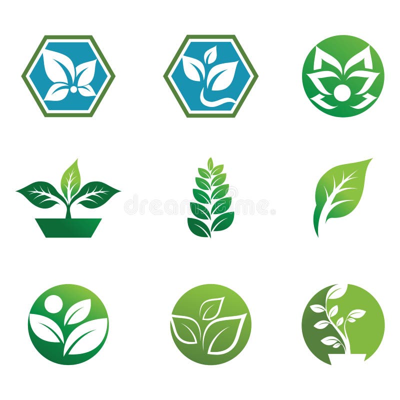 Mint Leaves Flat Vector Color Icon Template Illustration Design Stock ...