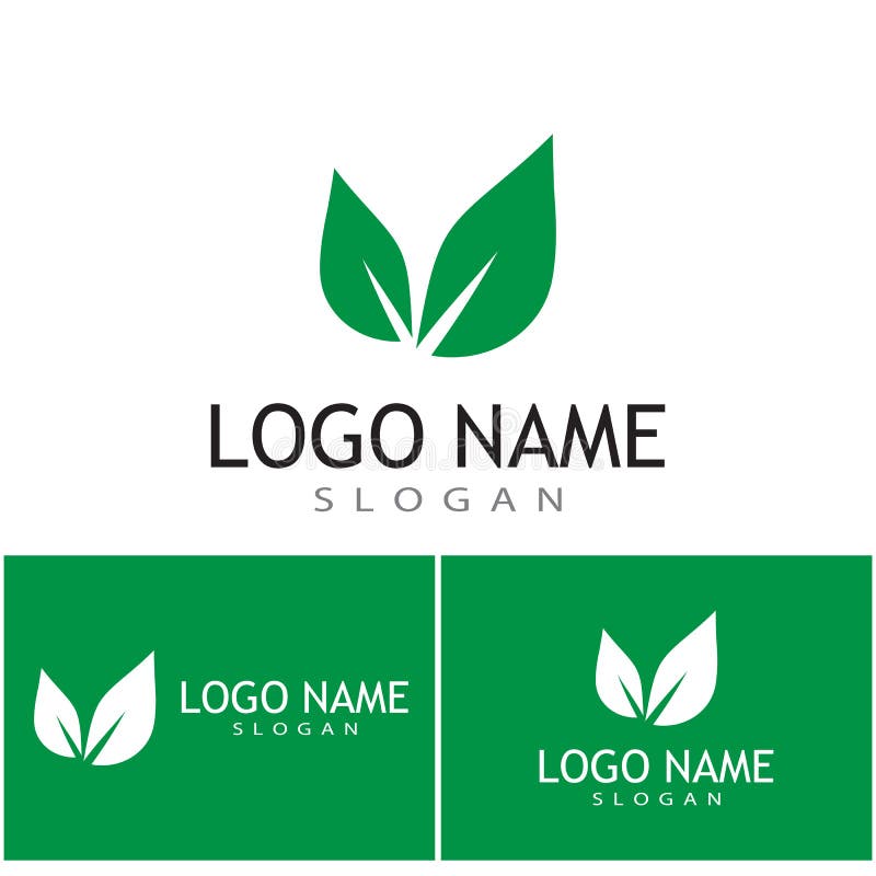 Mint Leaves Flat Vector Color Icon Template Illustration Design Stock ...