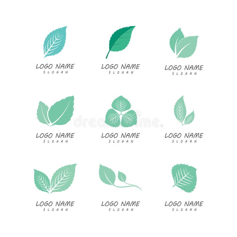 Mint Leaves Flat Vector Color Icon Template Illustration Design Stock ...
