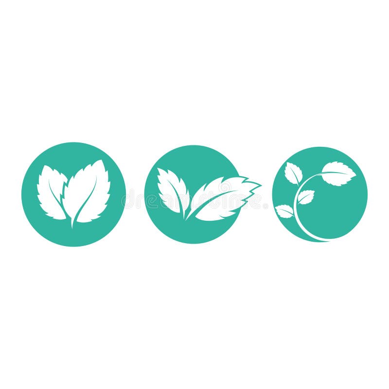 Mint Leaves Flat Vector Color Icon Template Illustration Design Stock ...