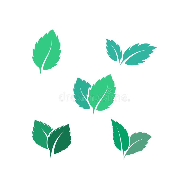 Mint Leaves Flat Vector Color Icon Template Illustration Design Stock ...