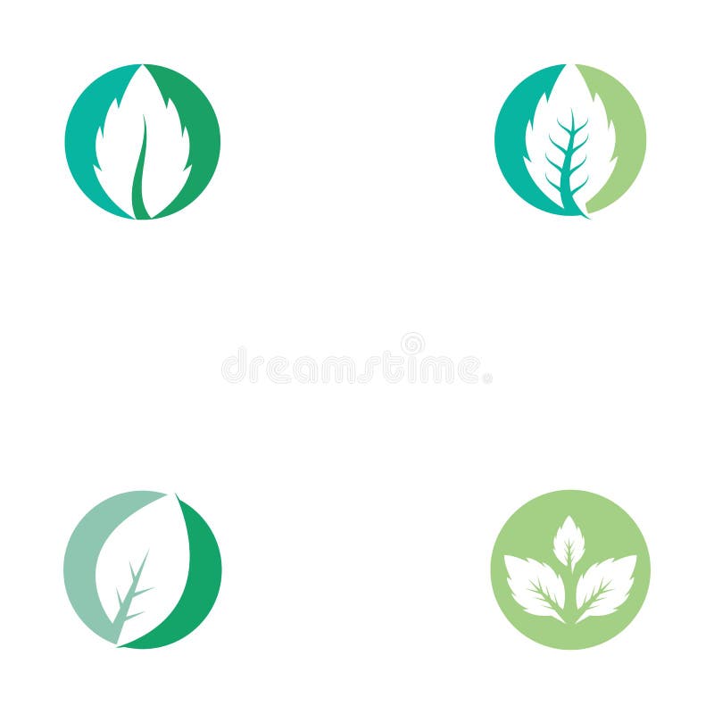 Mint Leaves Flat Vector Color Icon Template. Stock Vector ...