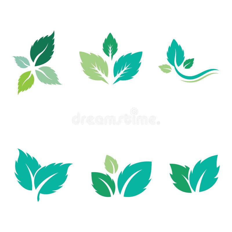 Mint Leaves Flat Vector Color Icon Template. Stock Vector ...