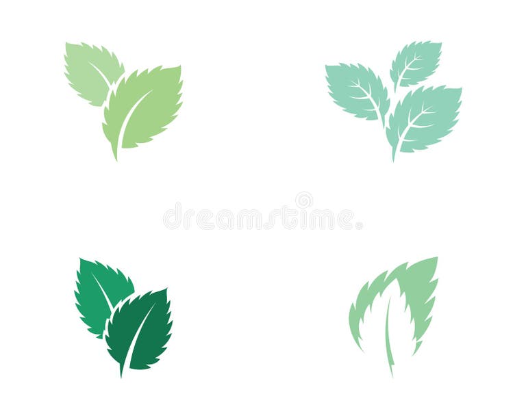 Mint Leaves Flat Vector Icon Stock Vector - Illustration of green, sign ...