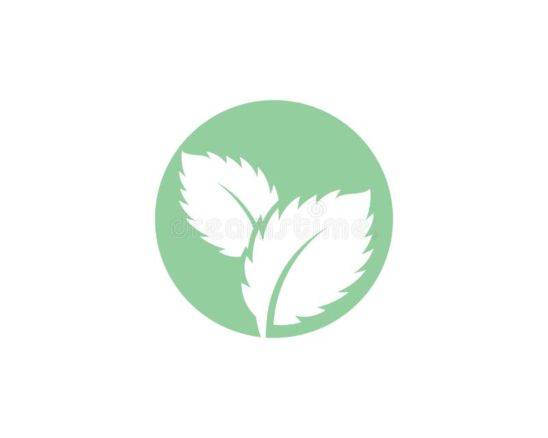 Mint Leaves Flat Vector Icon Stock Vector - Illustration of design ...
