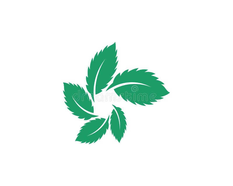 Mint Leaves Flat Vector Icon Stock Vector - Illustration of green, logo ...
