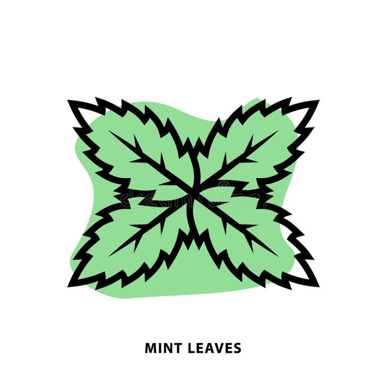 Mint Leaves Linear Icon Design for Application or Web Design Template ...