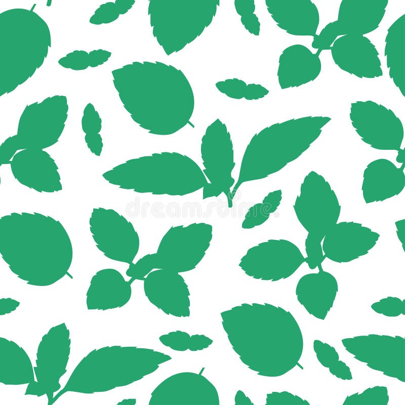 Mint Leaves Pattern Seamless Stock Vector - Illustration of flora ...