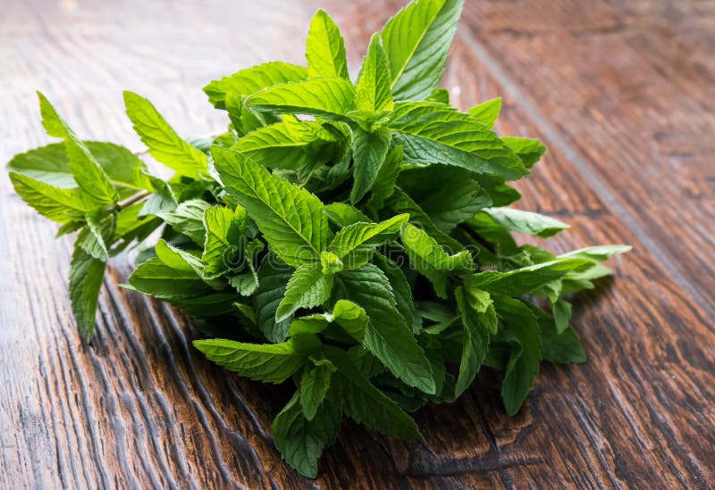 Mint leaves on the table stock photo. Image of organic - 40823020