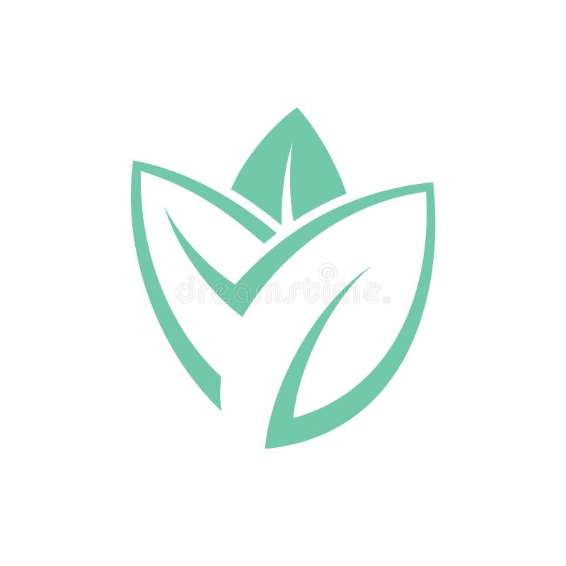 Mint leaves stock vector. Illustration of logo, nature - 79118351