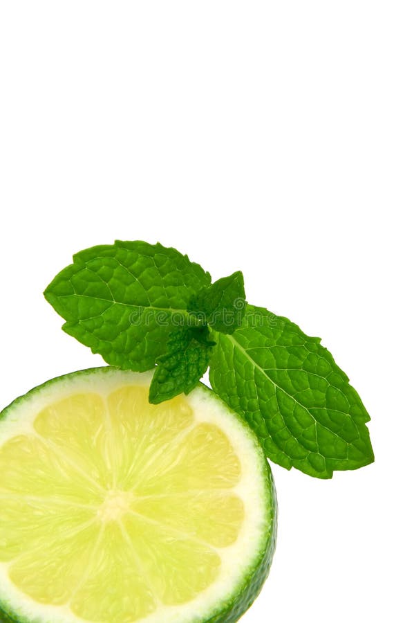 Mint and Lemon stock image. Image of refreshing, freshness - 4949501