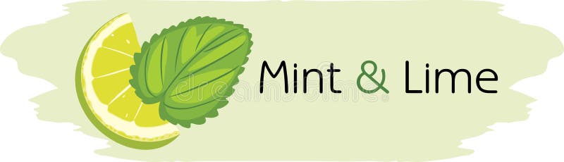 Mint and Lime. Drawing for Label Design Stock Vector - Illustration of ...