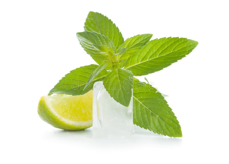 Lime Slices stock image. Image of lime, refreshing, garnishment - 3469125