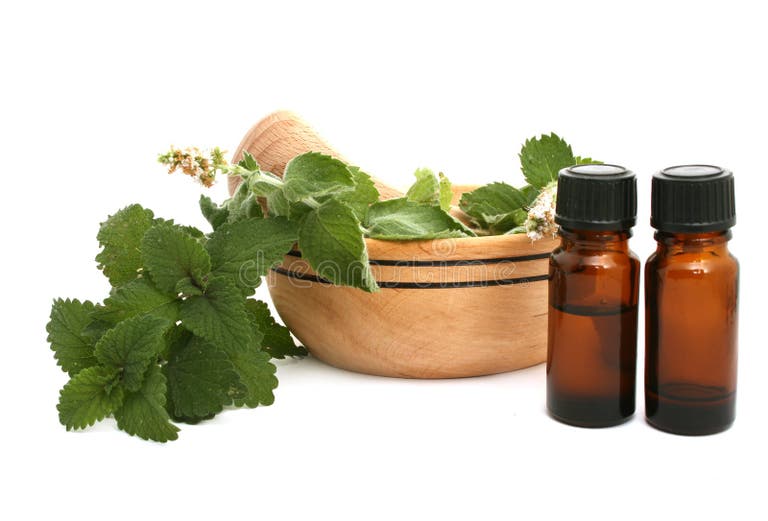 Mint oil stock photo. Image of mash, leaf, serum, natural - 21189594