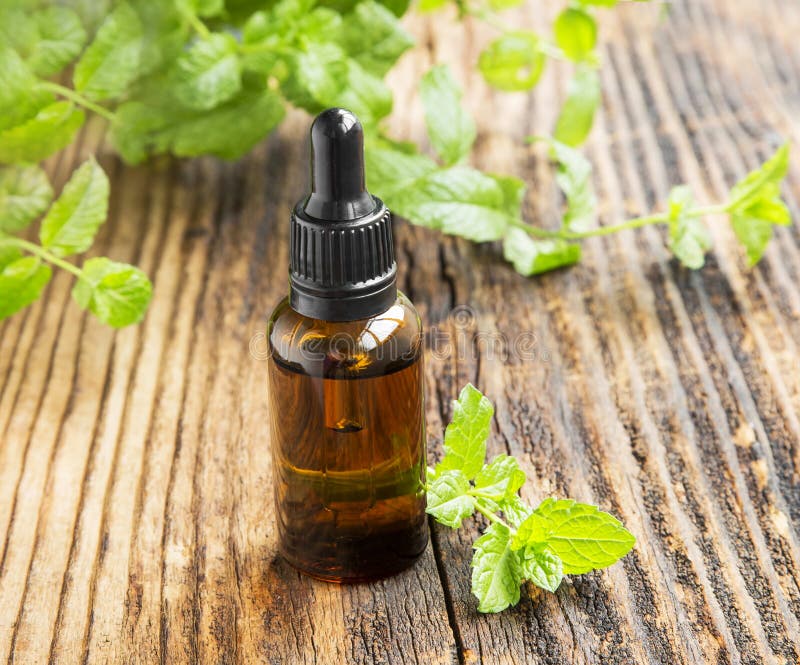 Mint oil/essence stock image. Image of medical, leaf - 73917809