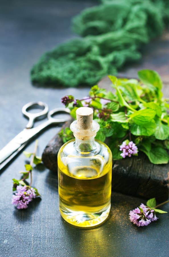 Mint oil stock photo. Image of aromatherapy, aroma, massage - 103477812