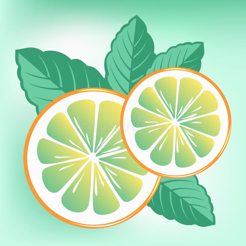 Mint and orange stock vector. Illustration of tasty, fresh - 69293612