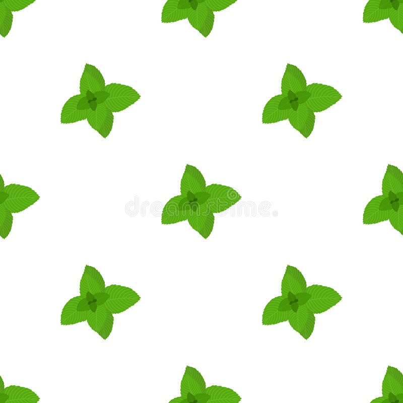 Mint Pattern Seamless Vector Stock Vector - Illustration of mint ...