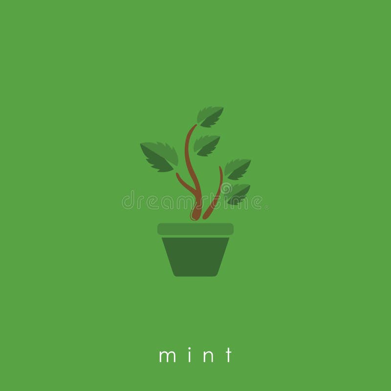 Mint Plant. Vector Illustration Decorative Design Stock Vector ...