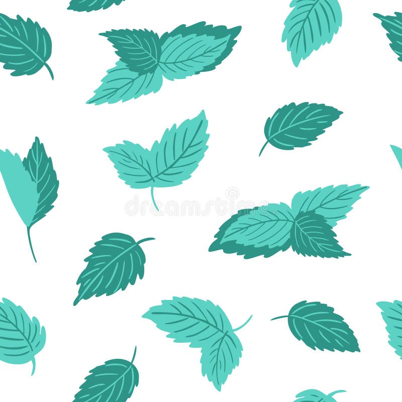 Mint Seamless Vector Pattern Stock Vector - Illustration of menthol ...