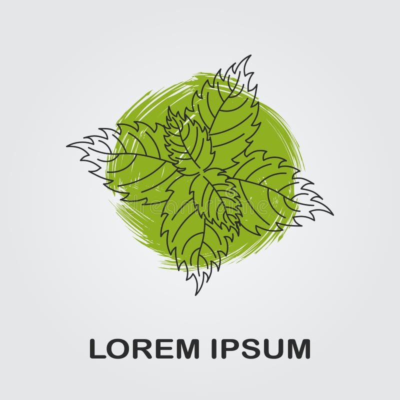 Mint Symbol. Vector Illustration Stock Vector - Illustration of element ...