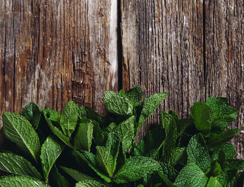 Mint on the table stock photo. Image of herb, aroma, background - 47250166