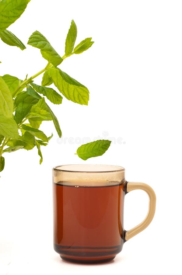 Mint tea stock image. Image of isolated, beverage, gourmet - 13969657