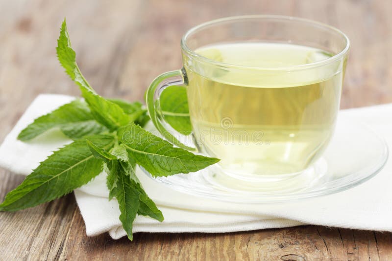 Mint tea stock image. Image of herbal, dessert, health - 20046975