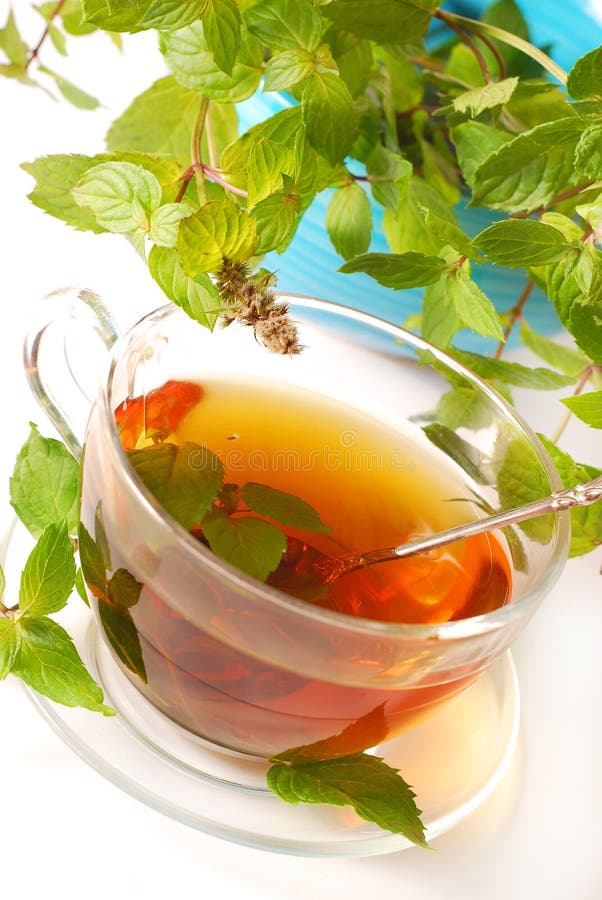 Mint tea stock photo. Image of refreshment, beverage - 16635558