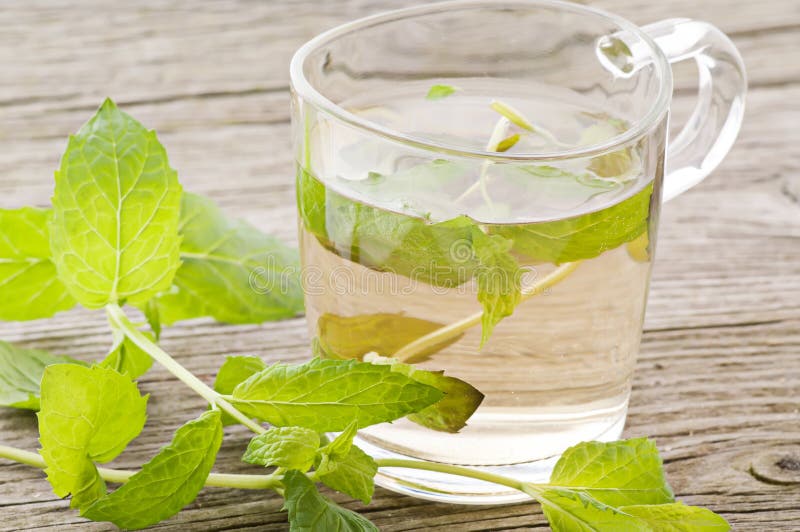 Mint tea stock photo. Image of diet, flavor, brown, potation - 19091492