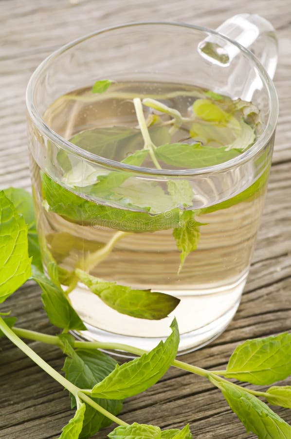 Mint Tea stock photo. Image of herb, brown, dried, lucent - 19091508
