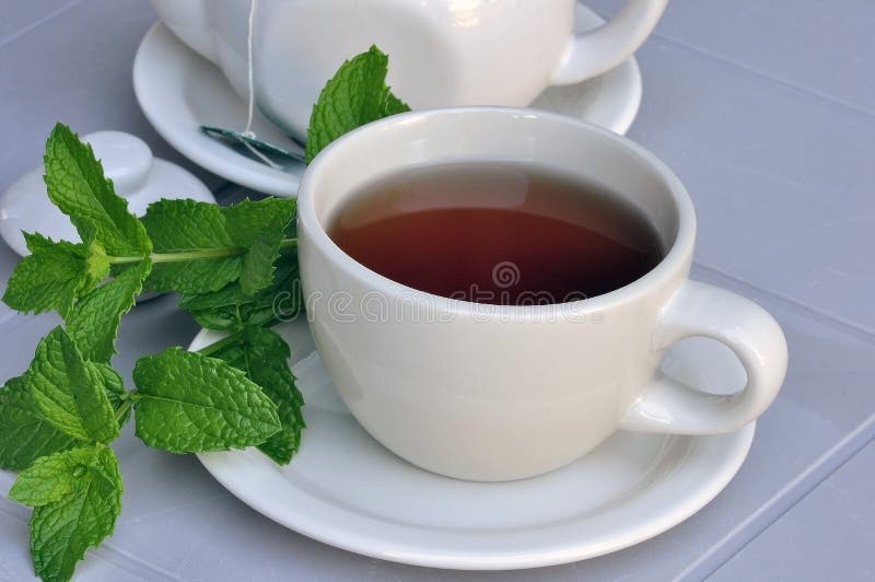 Mint Tea stock photo. Image of mint, tasty, nutritious - 20766364