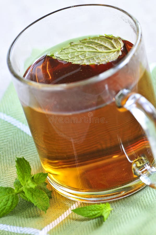 Mint tea stock photo. Image of drink, herbs, medicinal - 6424330