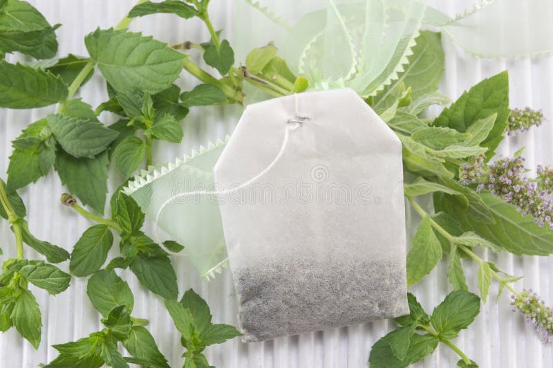 Mint Tea Bag and Fresh Mint Plant Stock Photo - Image of aroma, closeup ...