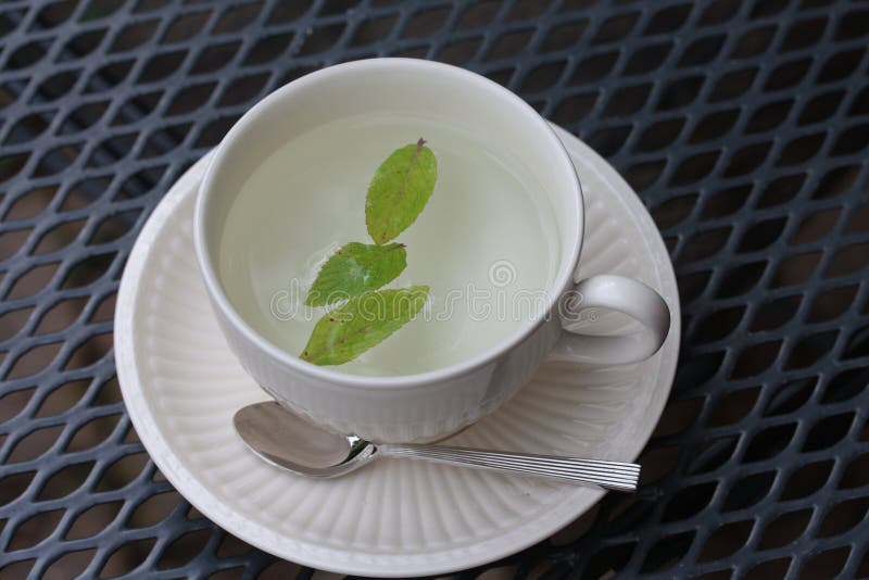 Mint tea in a cup stock image. Image of herbal, lemon - 10404833