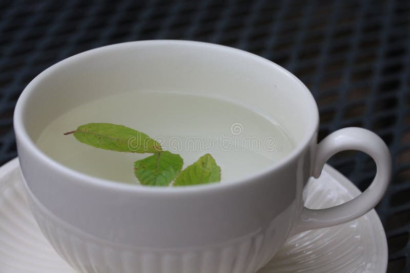 Mint tea in a cup stock image. Image of tranquil, lifestyle - 10404841